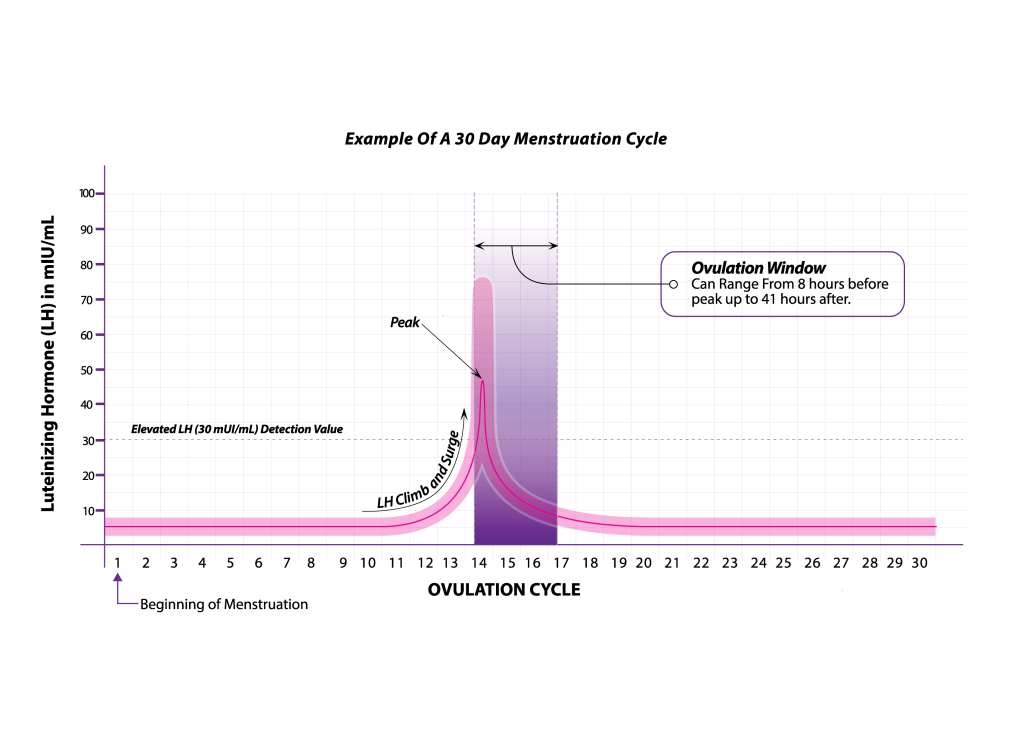 Home - Luteinizing Hormone Surge, Ovulation and Getting Pregnant
