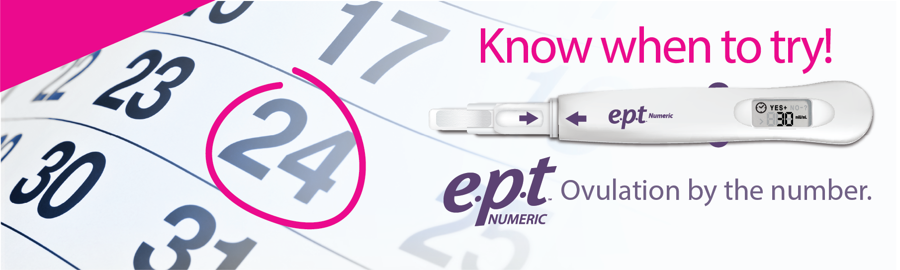 Home - Luteinizing Hormone Surge, Ovulation and Getting Pregnant